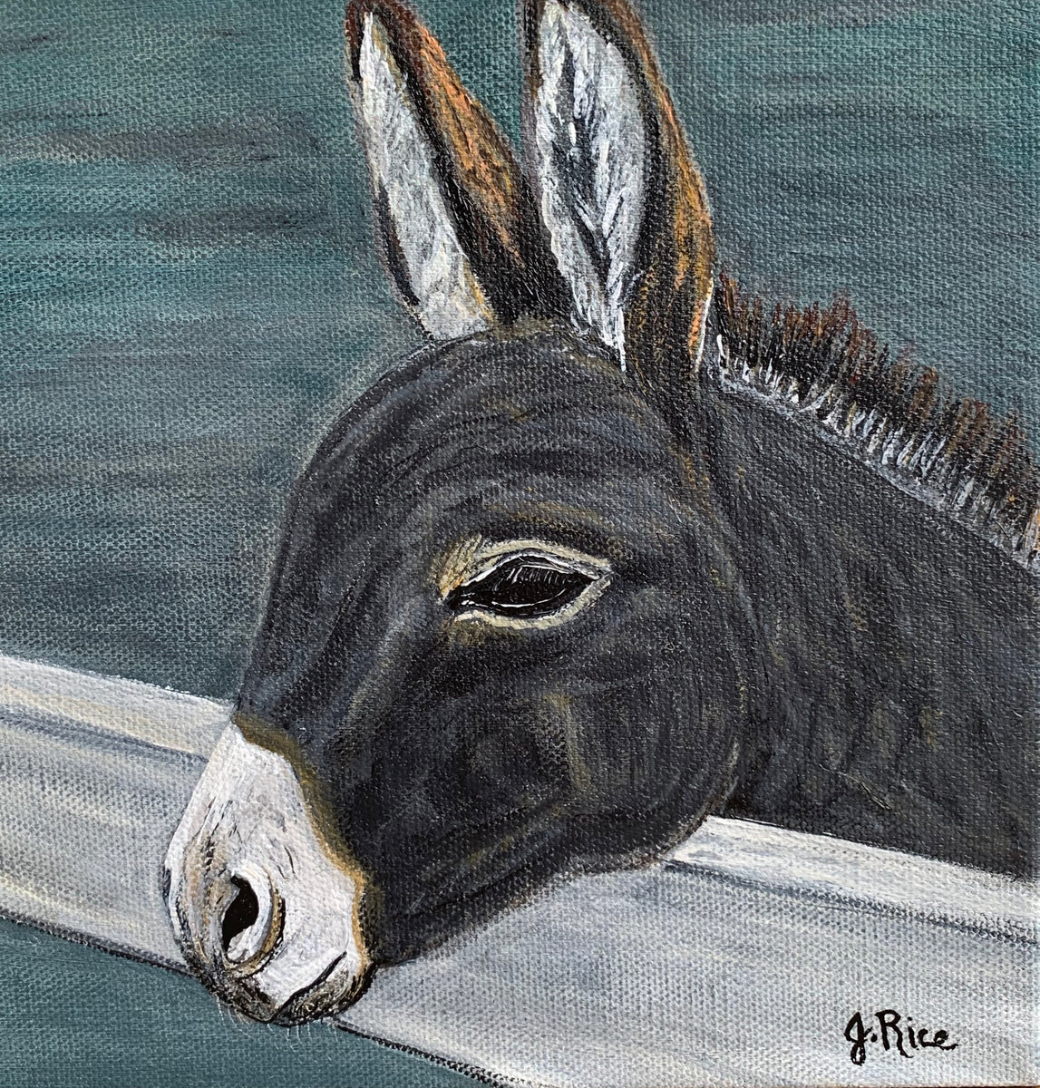 Buddy the Donkey – Act of Canvas